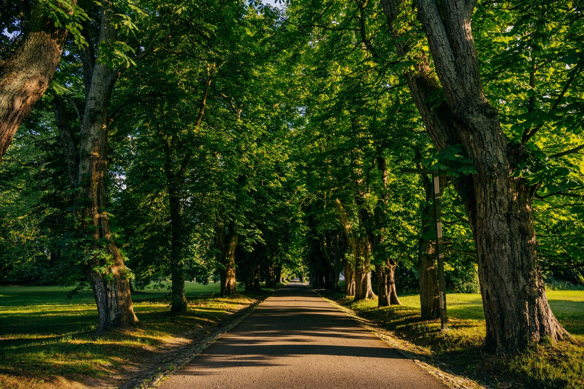 Naturliebhaber › DIE BINZER BUCHT ERLEBEN